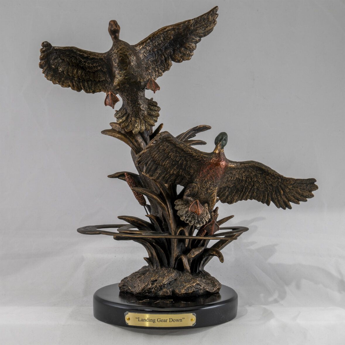 BZ PL LANDING GEAR DOWN #12598 D4 SEP23 – Points West Market