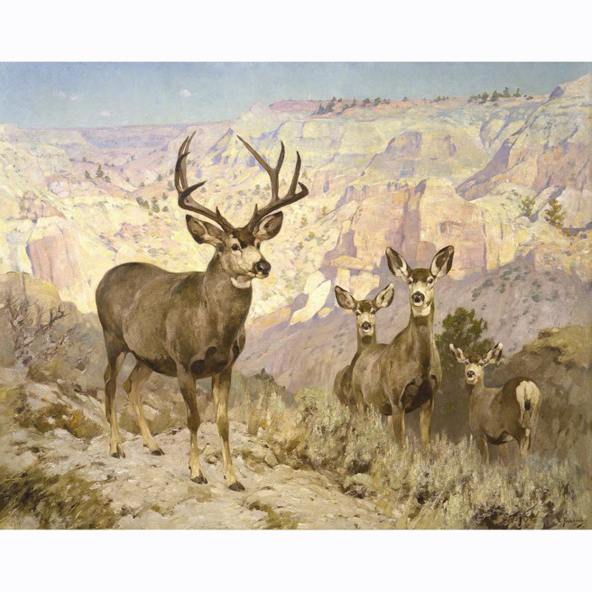 Western Art Prints | "Mule Deer in the Badlands" - Points West Market
